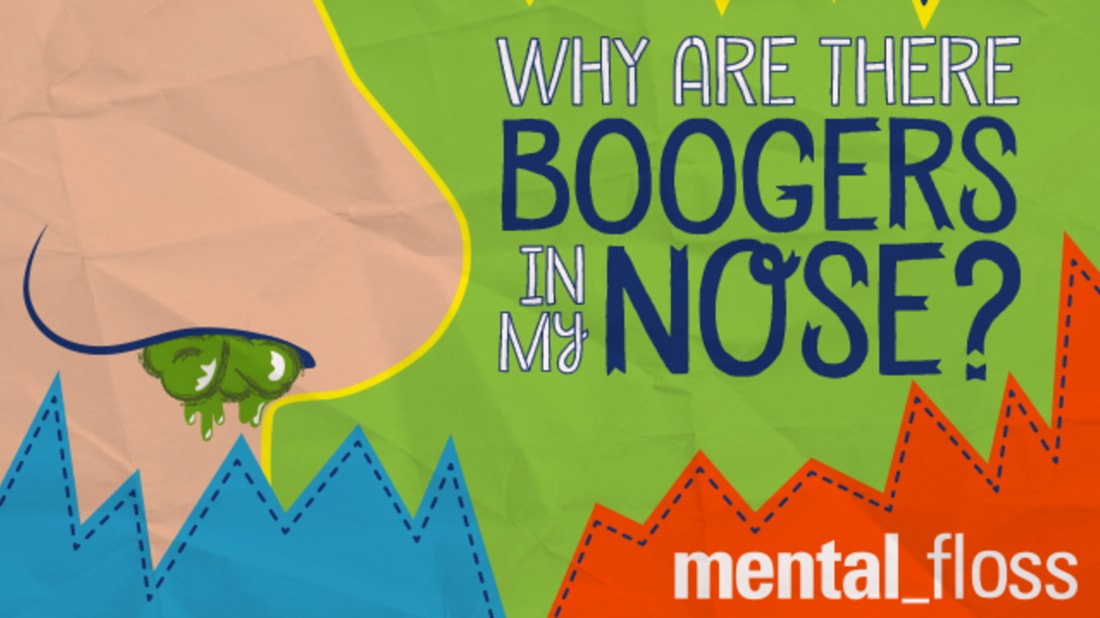 Why Are There Boogers in My Nose?