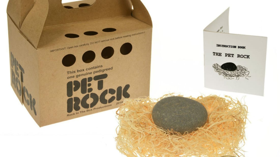 Hard Sell: A History of the Pet Rock