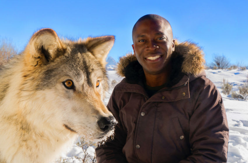 Amazing Dogs episode 1 review: Man’s Best Friend
