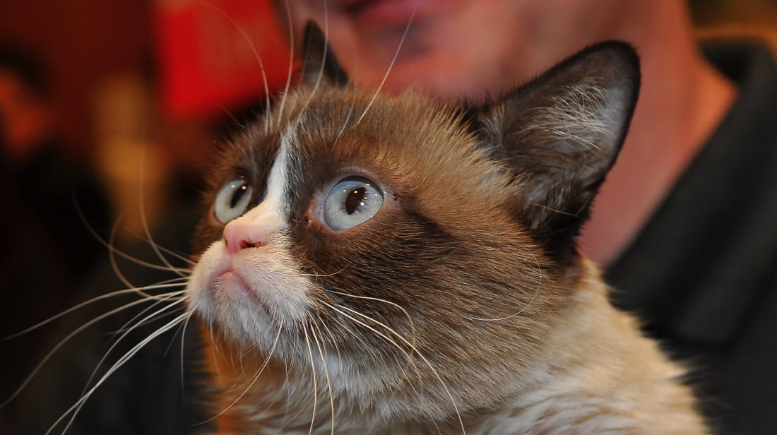 10 of the Richest Pets in History