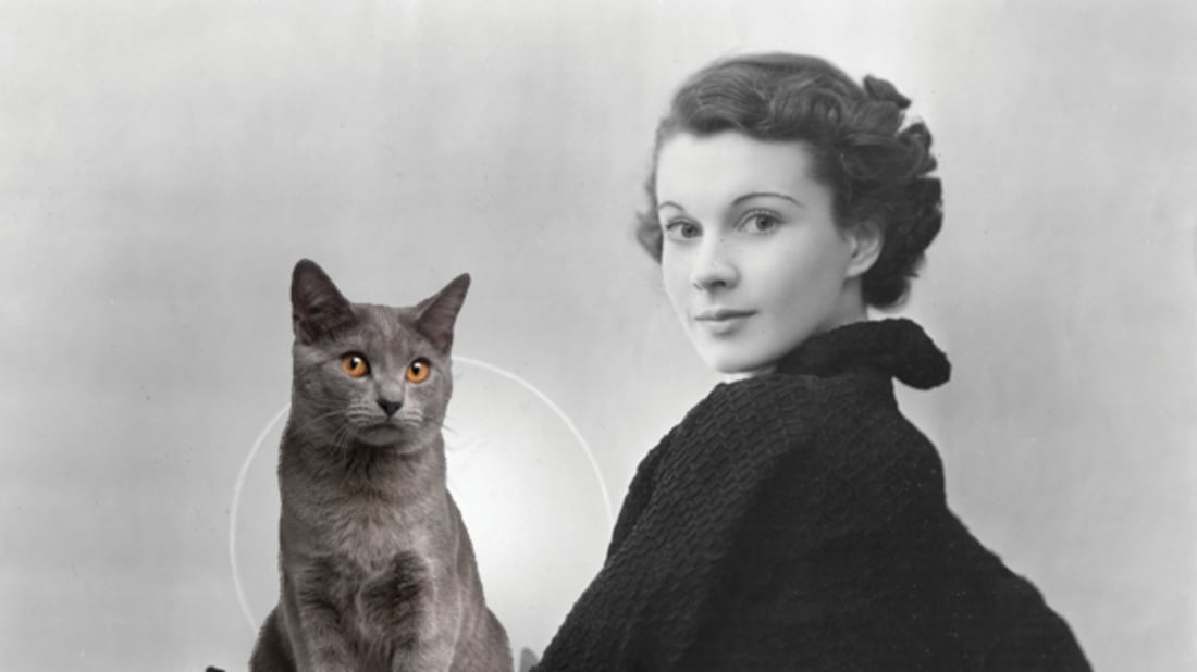 8 of History's Greatest Cat Ladies