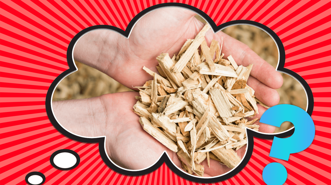 Why Do We Say 'Have a Chip on Your Shoulder'?