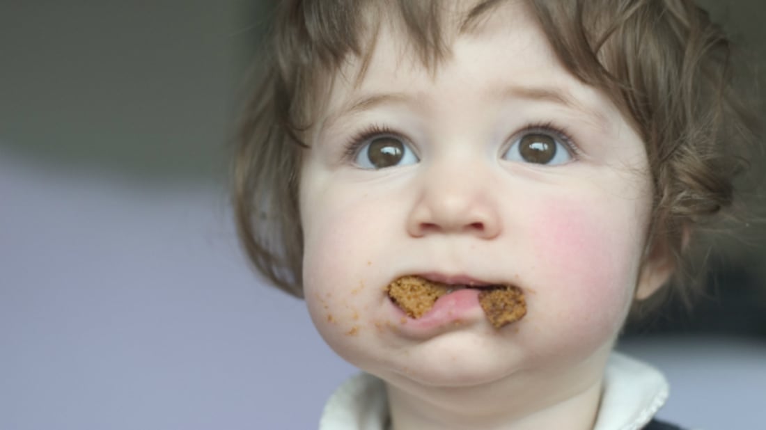 Scientists Pinpoint Brain Cells That Signal When To Stop Eating