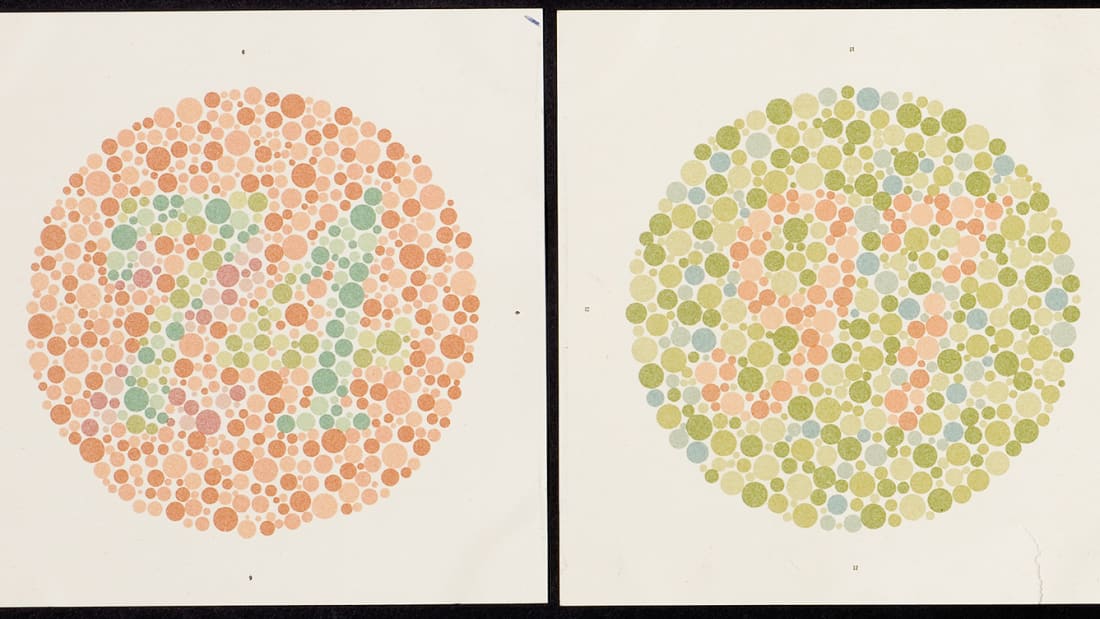 Color Perception Test Results - Infoupdate.org