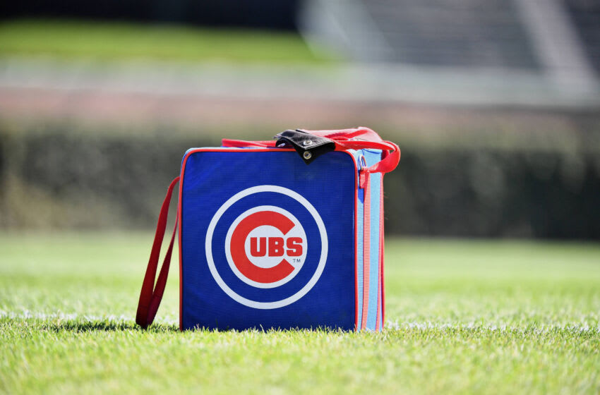 Baseball Prospectus is enamored with the revamped Cubs farm system
