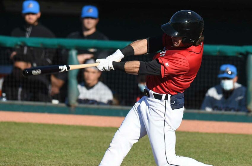 Detroit Tigers promote outfielder Jacob Robson