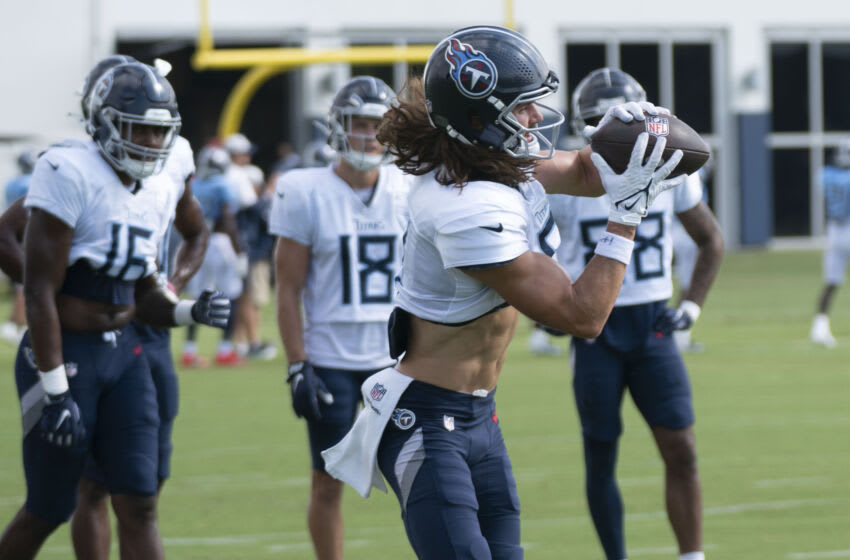One final look at the Tennessee Titans wide receivers before cuts