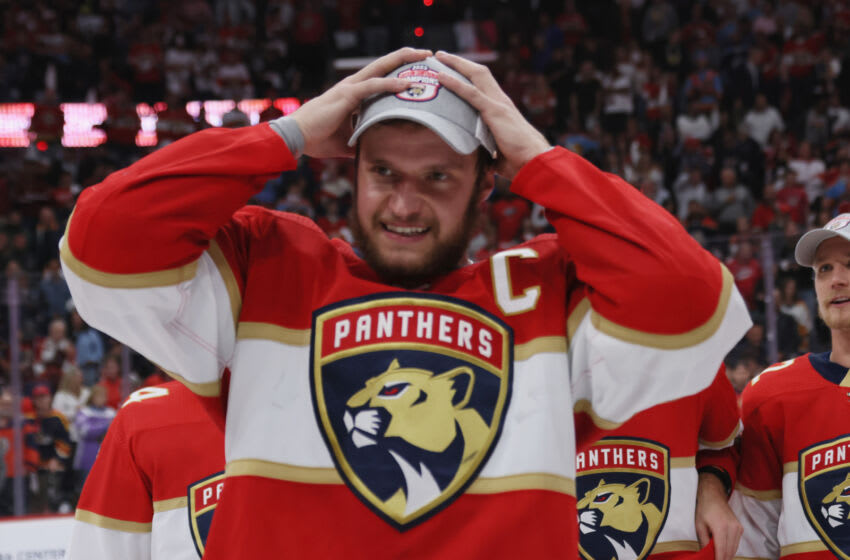 Who Owns Who? Zoom on NHL owners and their portfolios: Florida Panthers