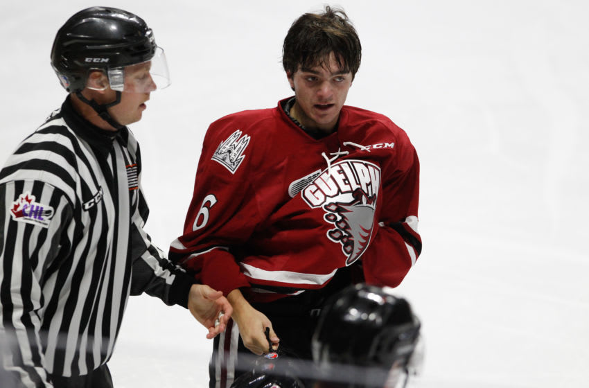 2018 NHL Draft Profile: Ryan Merkley