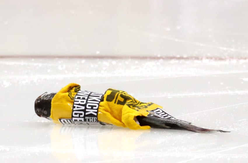 Why do Nashville Predators fans throw catfish at games?