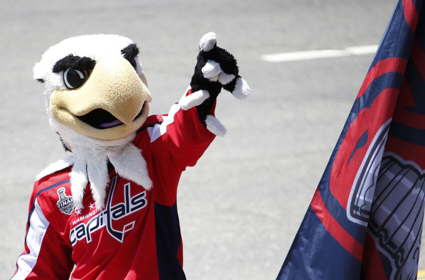 Washington Capitals Mascot Slapshot, History, Reception, Every Question ...