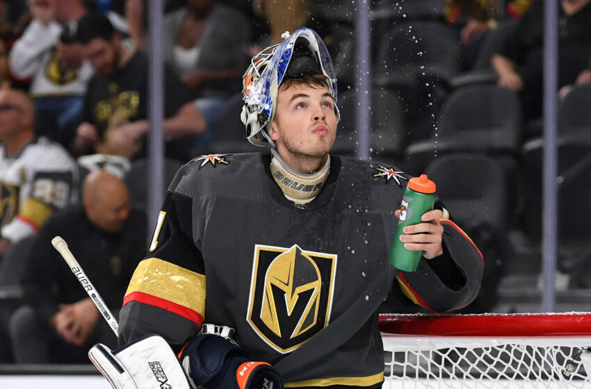 The Toronto Maple Leafs Add Another Goalie to the Depth Chart