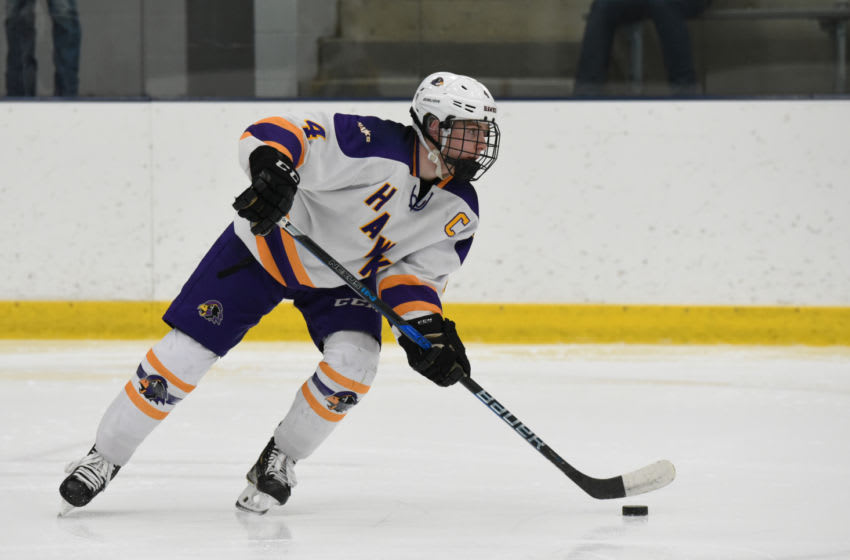 What Do The Toronto Maple Leafs Have In Mike Koster?