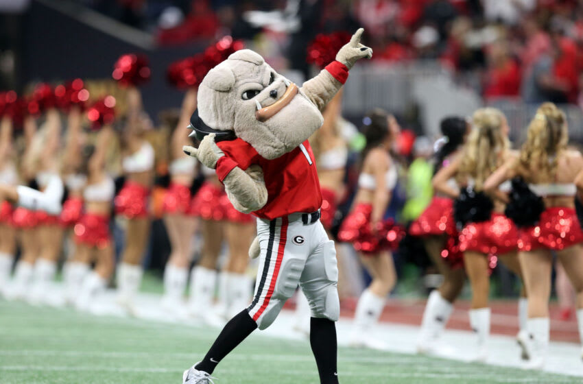 Hairy Dawg’s Origin Story: An Oral History
