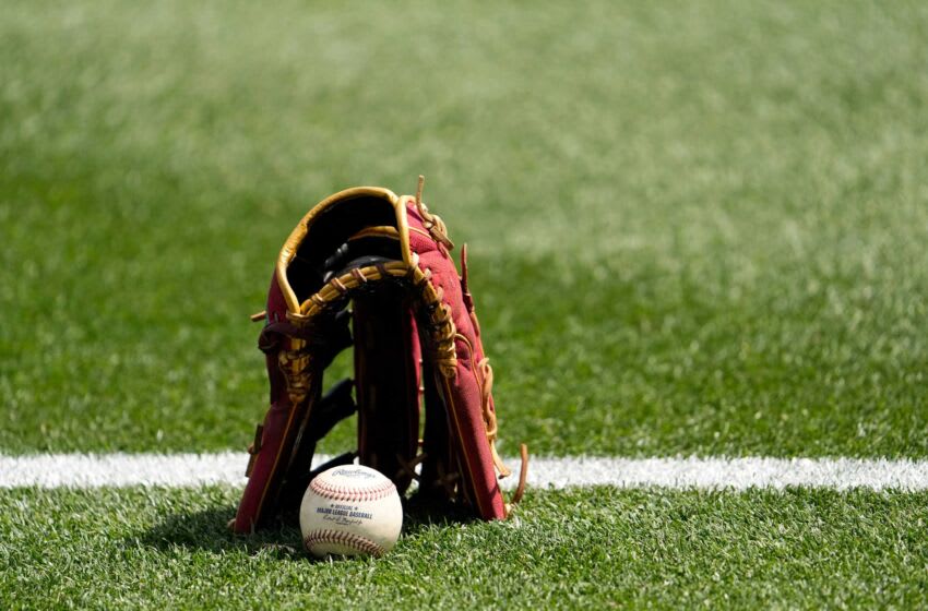 South Carolina Baseball adds intriguing transfer portal player from ...