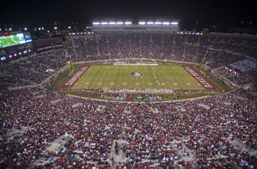 FSU football: Will FSU pursue FAU safety transfer Teja Young?