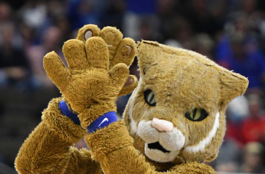 The complete list of NCAA feline mascots