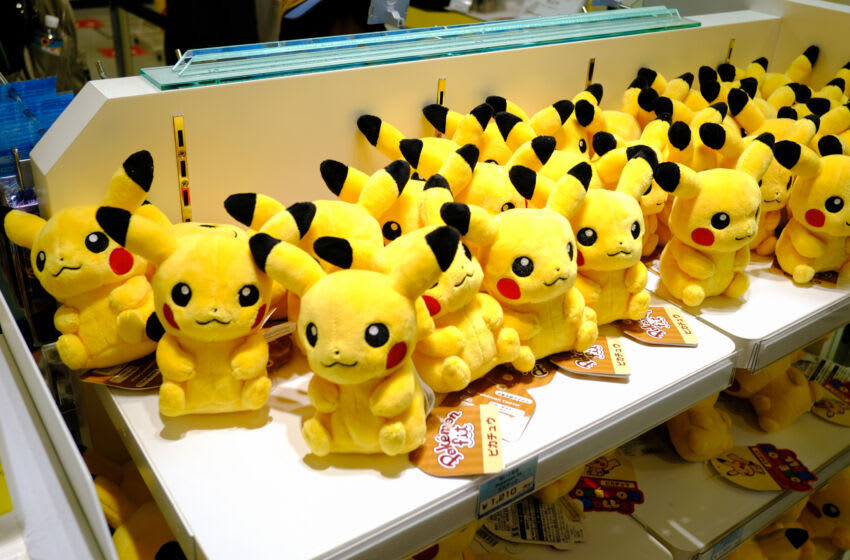 Florida man gets citation after his Pikachu looking pup went viral at ...