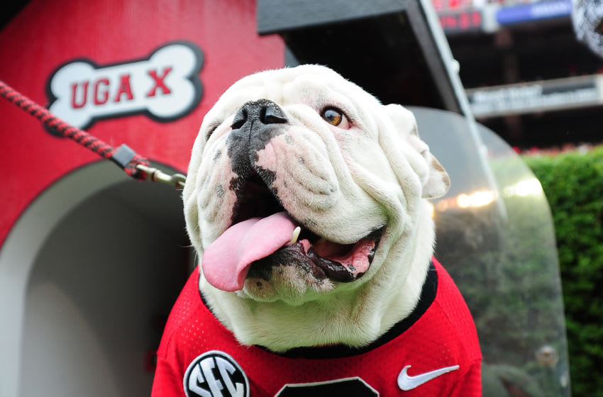 Sgt Stubby, WWI hero, gets statue at Museum of the Dog