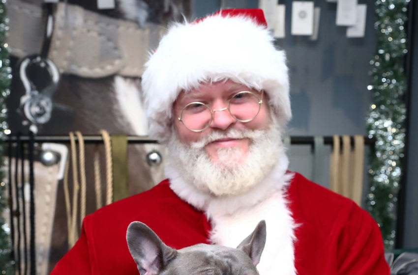 Barking at the Big Screen: The Search for Santa Paws