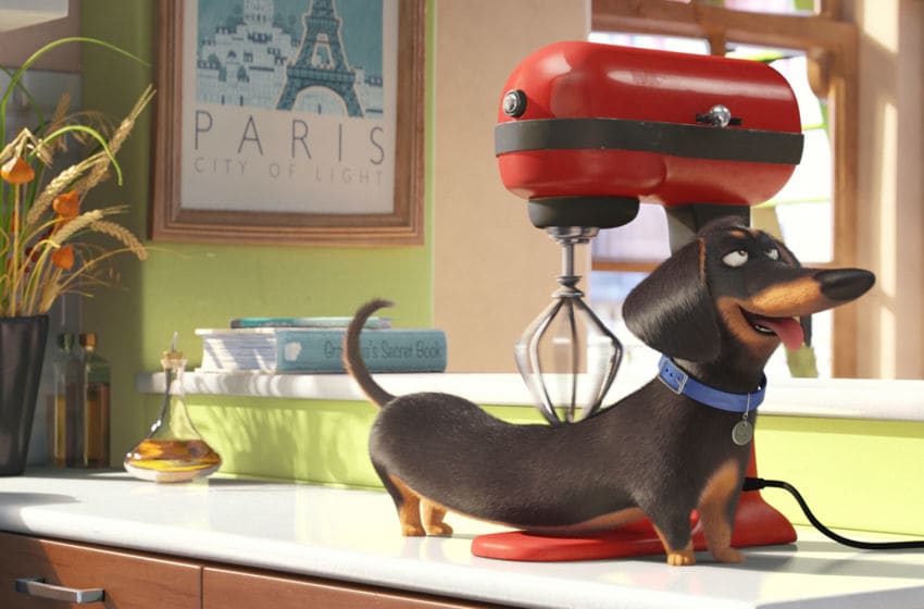 Dog Movies: 10 best animated dog movies and why we love them
