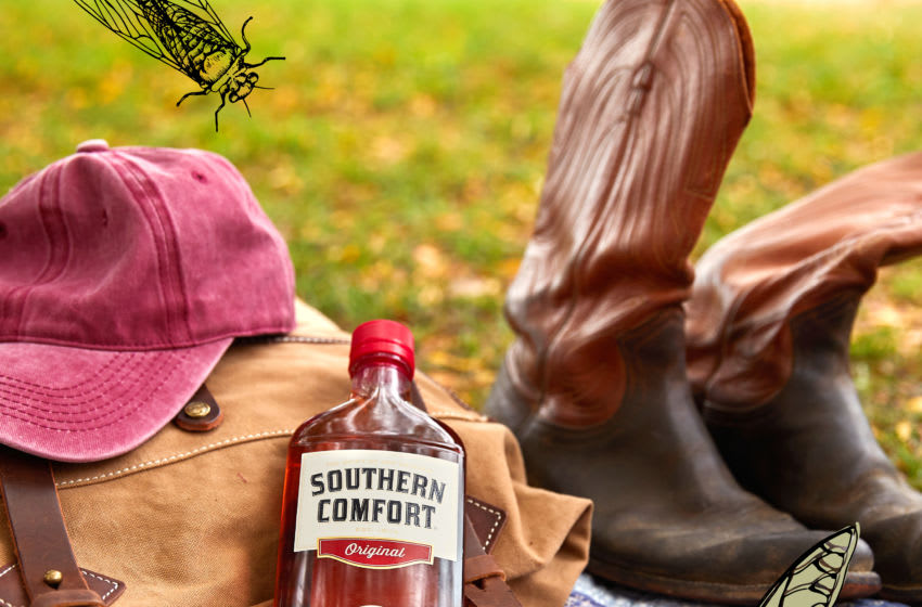 Toast to cicadas with Southern Comfort SoCada cocktail