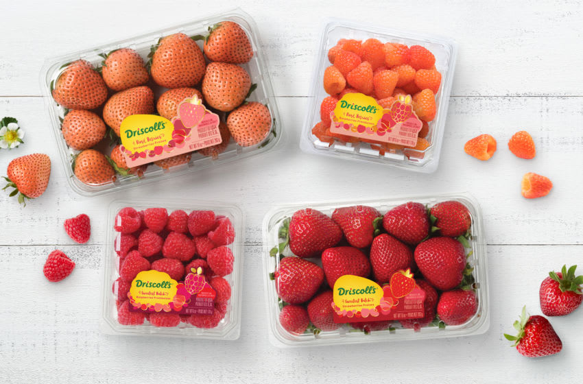 Sweetest Batch and Rosé Berries return to make summer sweeter