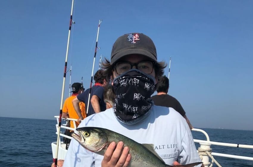 From pole to plate: How to make use of a fresh Bluefish