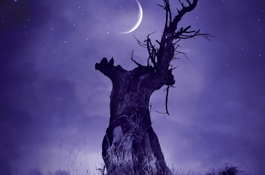 Check out the cover for Patrick Rothfuss’ new book The Narrow Road ...