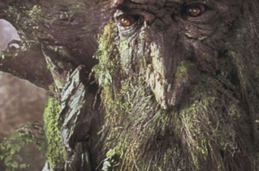 Amazon hints that Ents will feature in The Lord of the Rings: The Rings ...